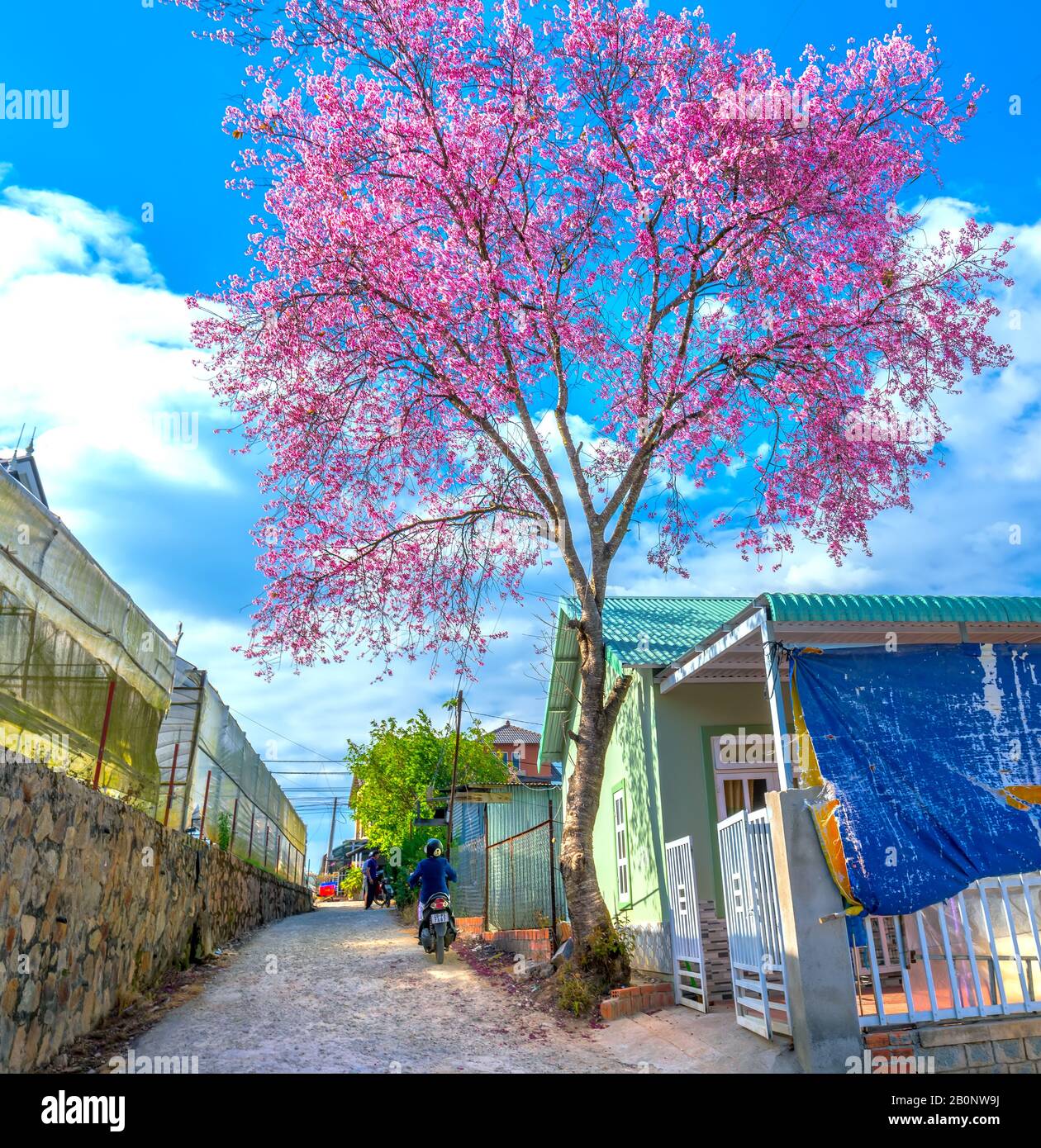Bustling pathway hi-res stock photography and images - Alamy