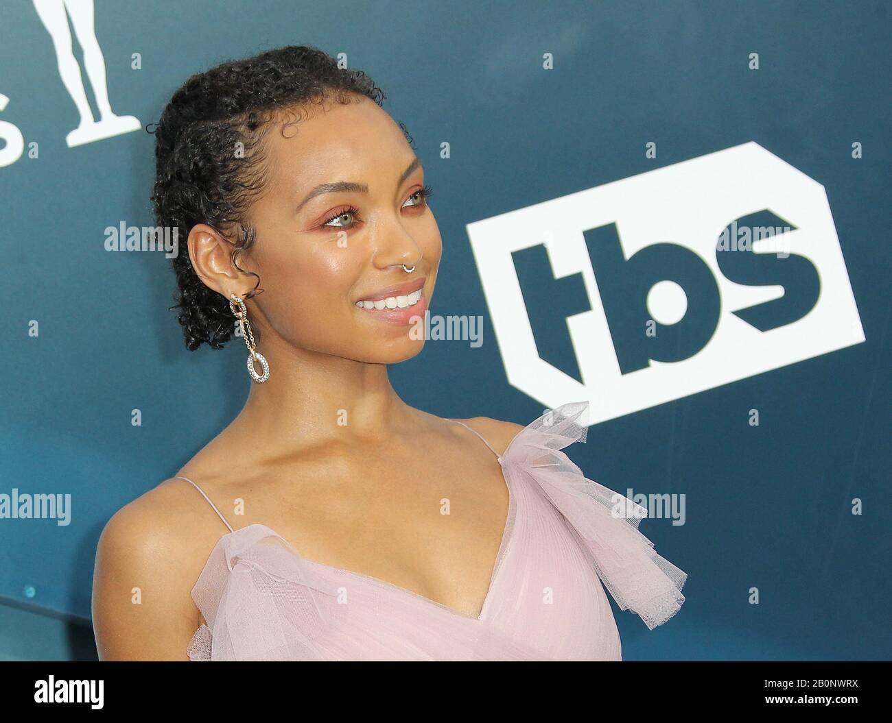 26th Annual SAG Awards Arrivals 2019 held at Shrine Auditorium in Los ...