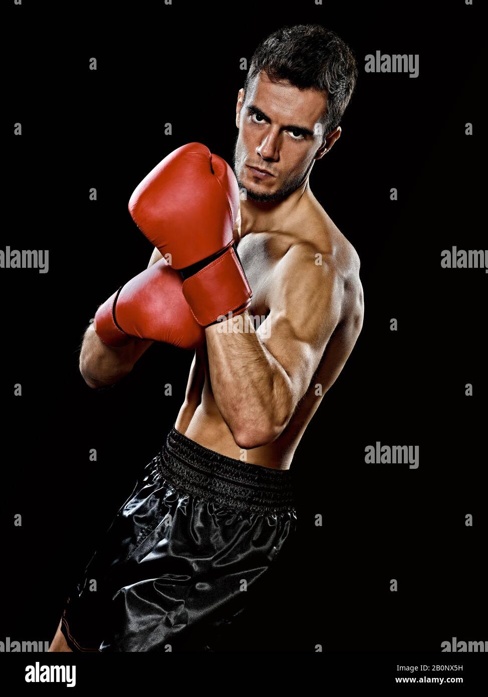 one caucasian young player man boxer boxing portrait waist up in studio ...