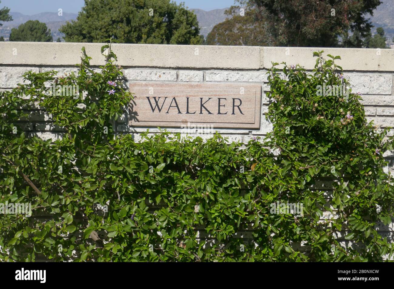 Los Angeles, California, USA 20th February 2020 A general view of atmosphere of Paul Walker's ...