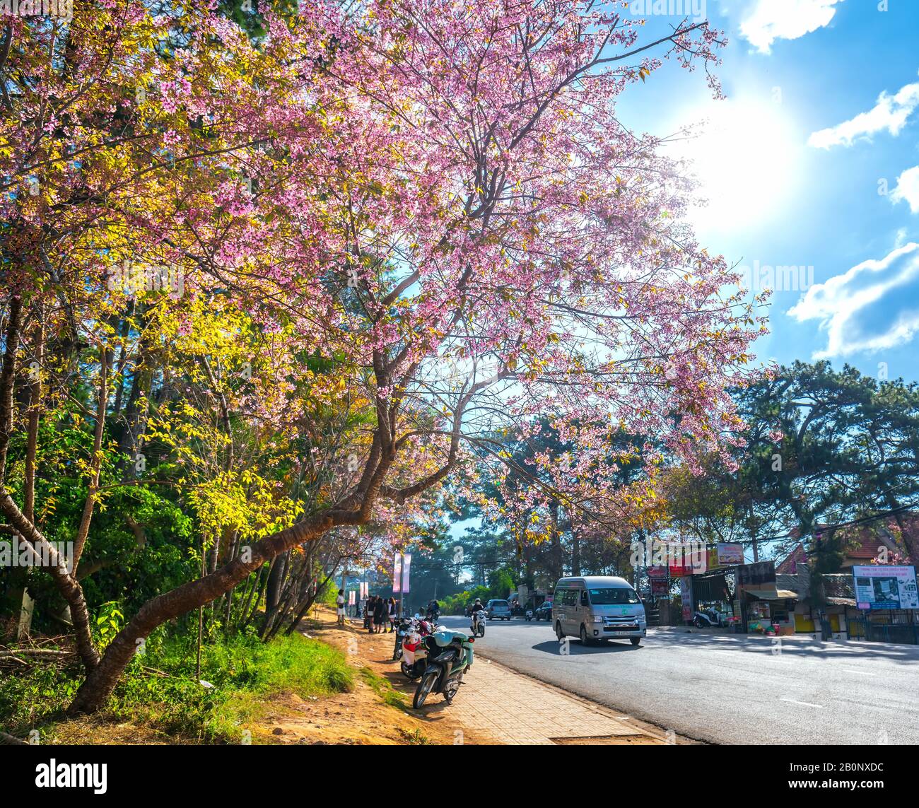 Bustling pathway hi-res stock photography and images - Alamy