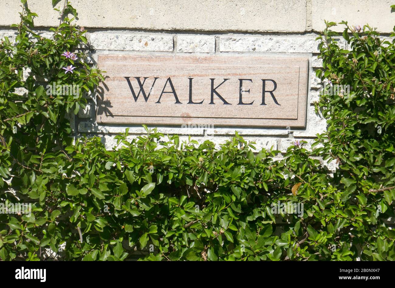 Los Angeles, California, USA 20th February 2020 A general view of ...