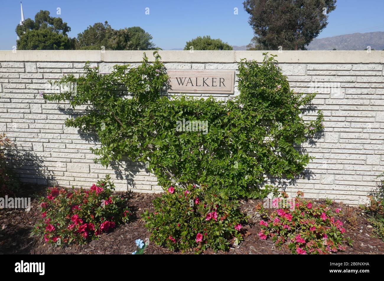 Paul Walker Forest Lawn