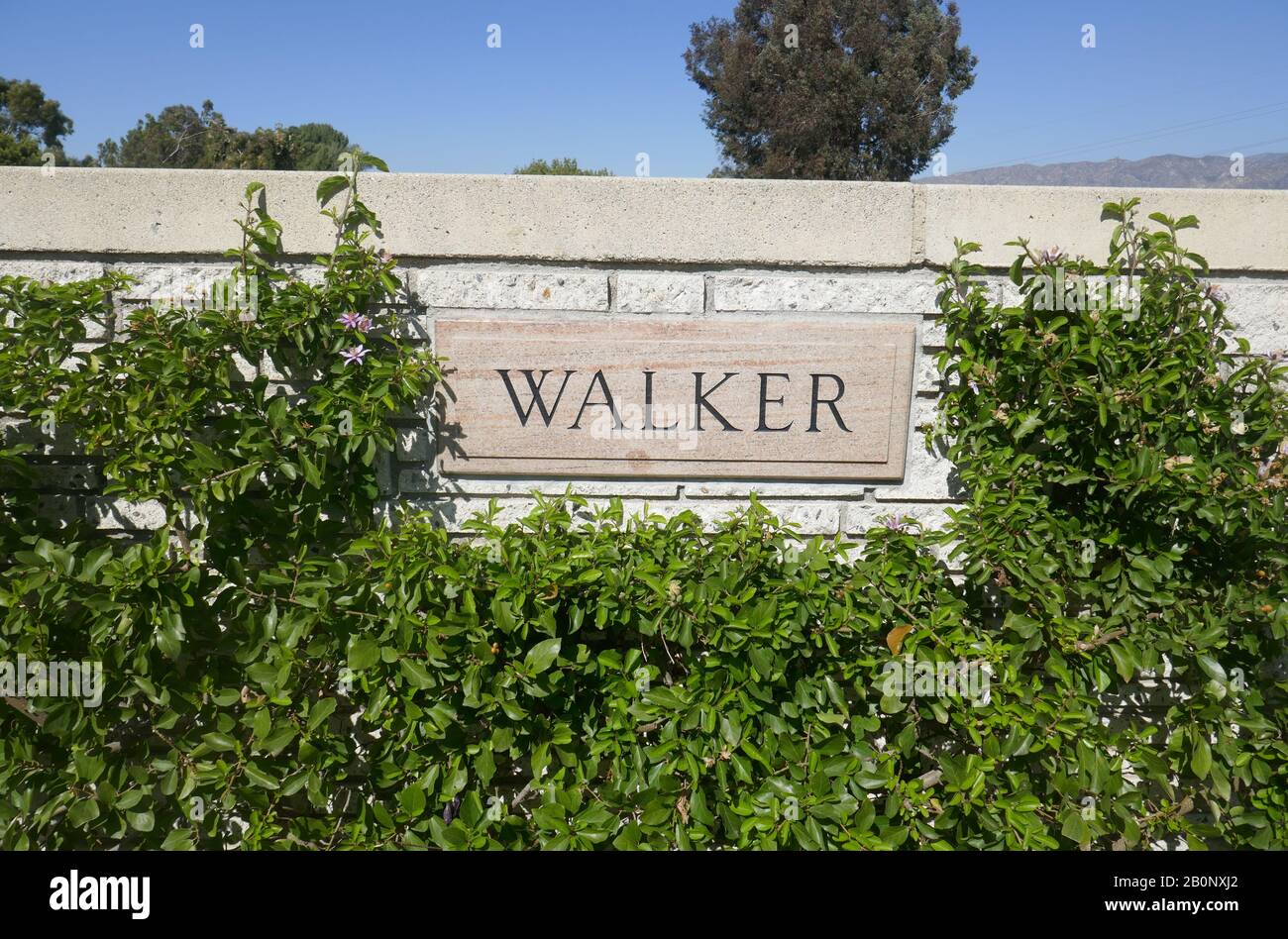 Los Angeles, California, USA 20th February 2020 A general view of atmosphere of Paul Walker's ...