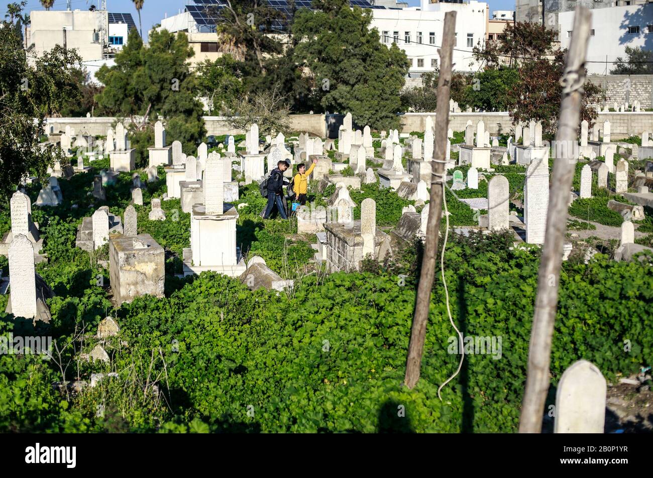 Sheikh shaban cemetery hi-res stock photography and images - Alamy