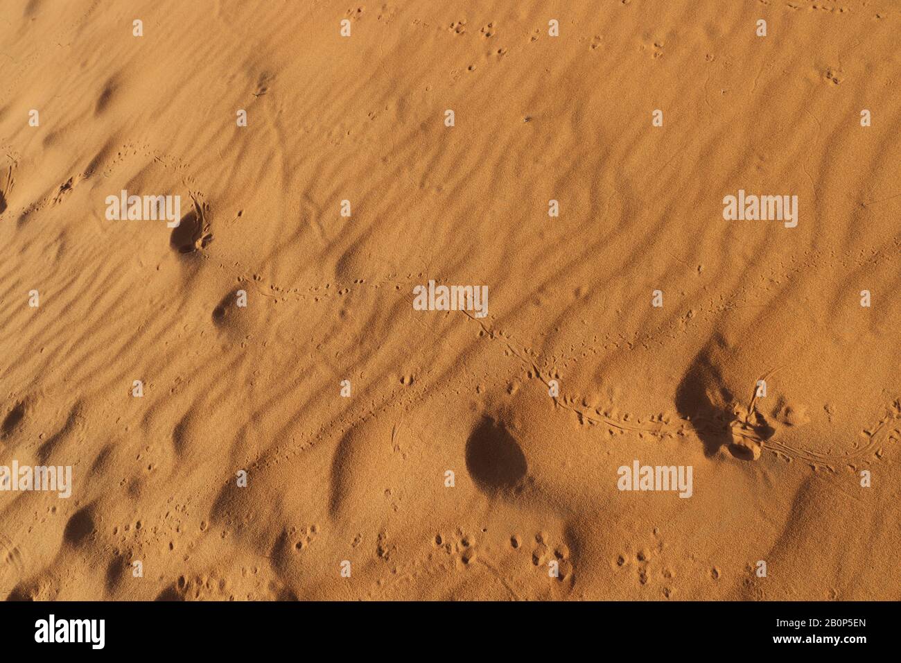 sand texture - background of desert sand dunes. Beautiful structures of ...