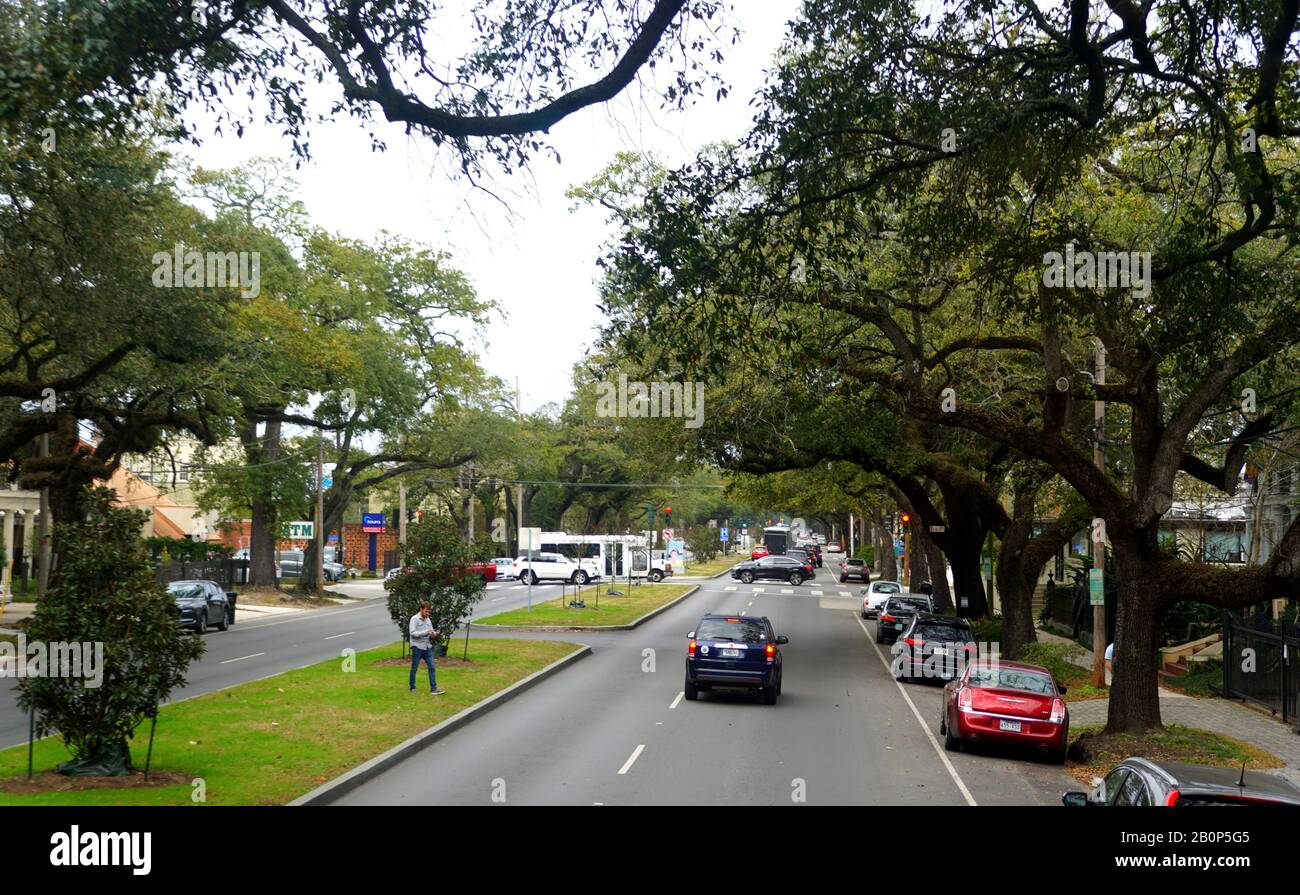New orleans oak trees hi-res stock photography and images - Alamy