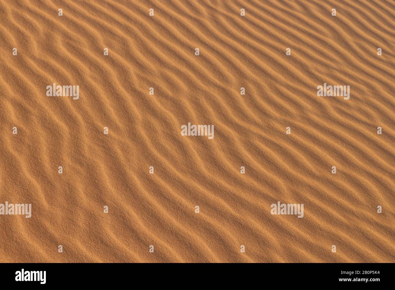 sand texture - background of desert sand dunes. Beautiful structures of ...