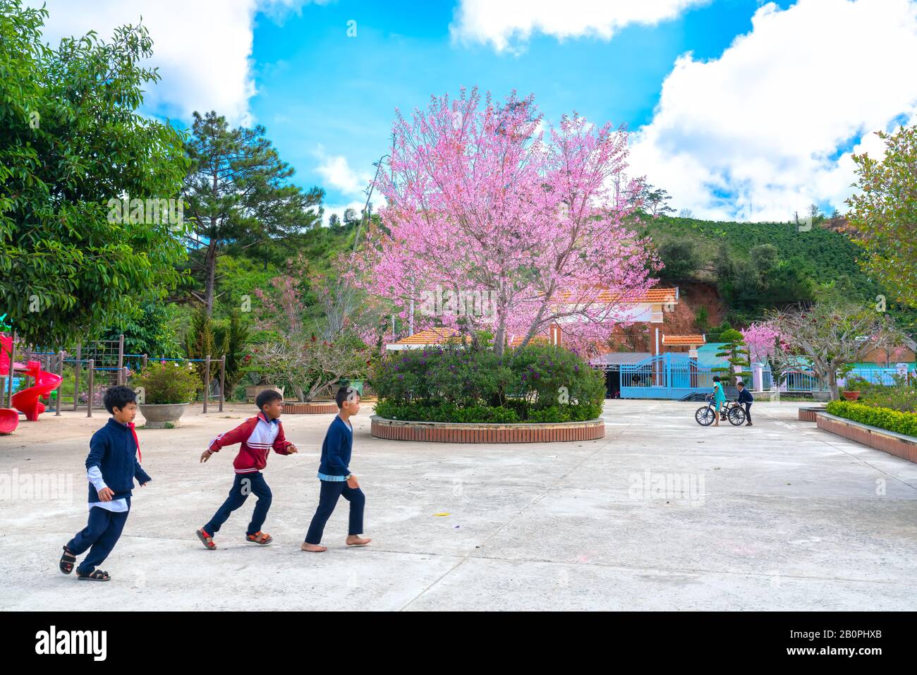 Elementary students in uniforms play in a school yard next to a cherry ...
