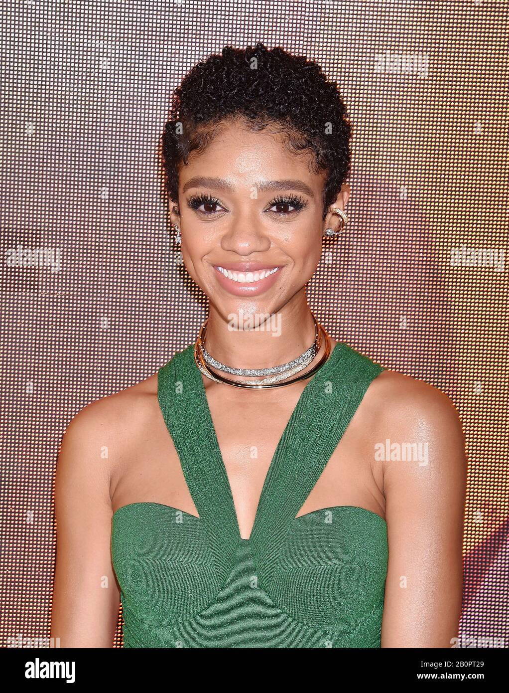 LOS ANGELES, CA - FEBRUARY 19: Tiffany Boone attends the premiere of ...