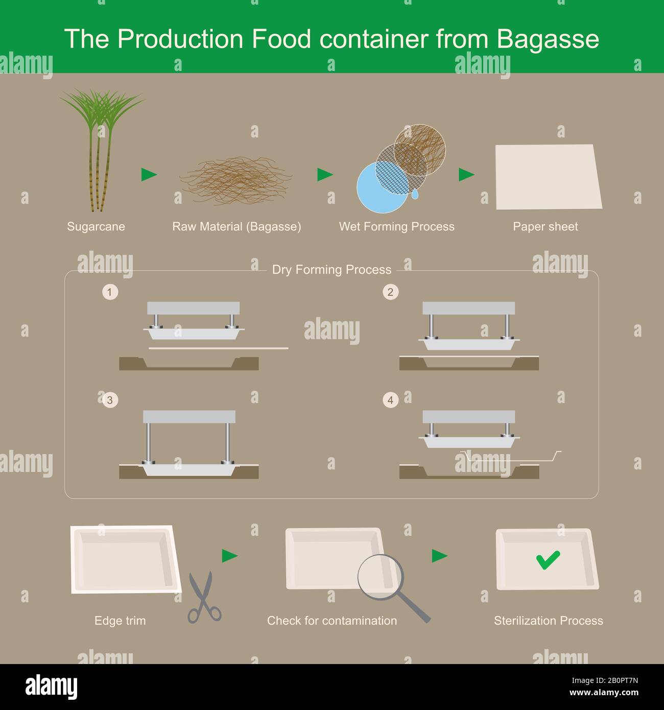 Bagasse Paper