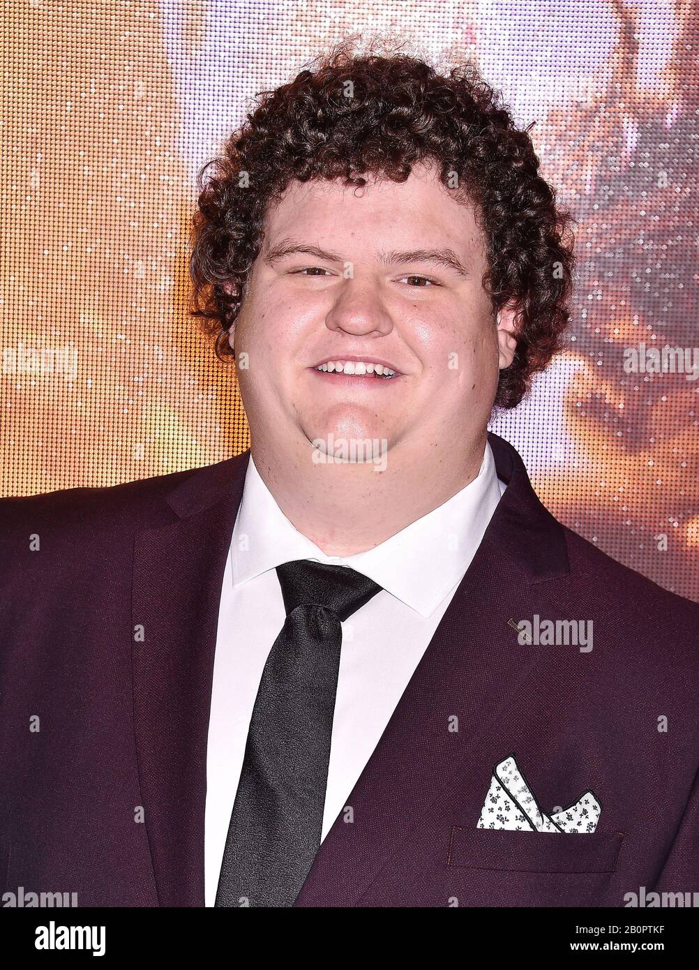 LOS ANGELES, CA - FEBRUARY 19: Caleb Emery attends the premiere of ...