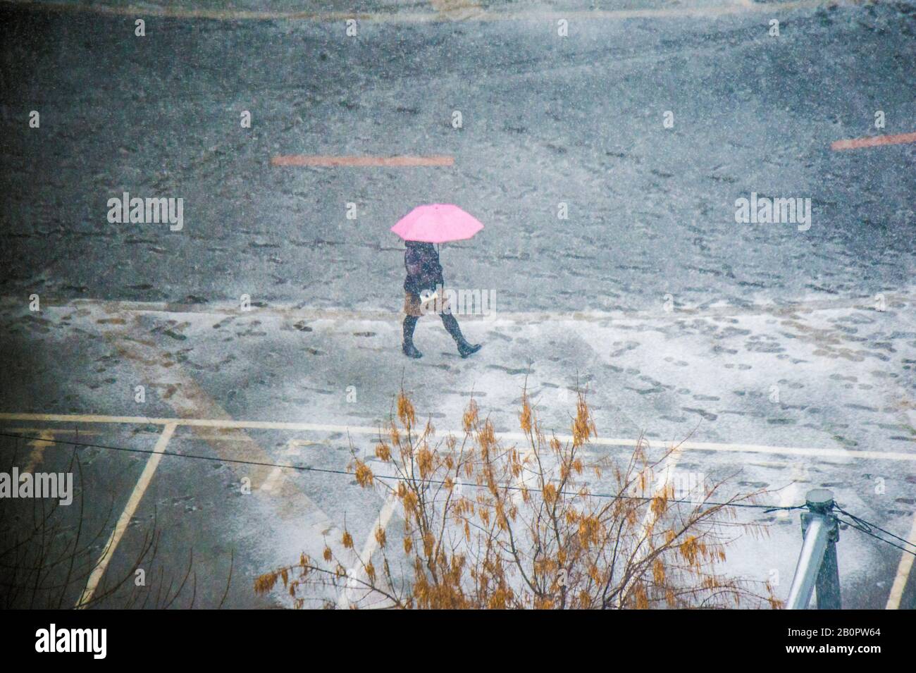 A pedestrian walks in heavy snow on the street in Shenyang City ...