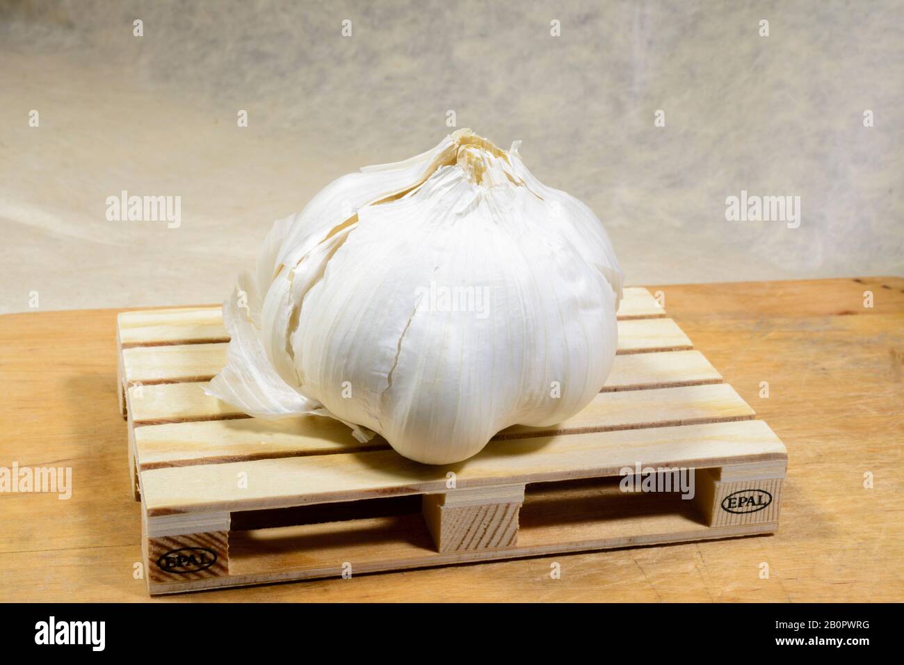 Garlic (Allium sativum) on mini wooden toy pallet Stock Photo - Alamy