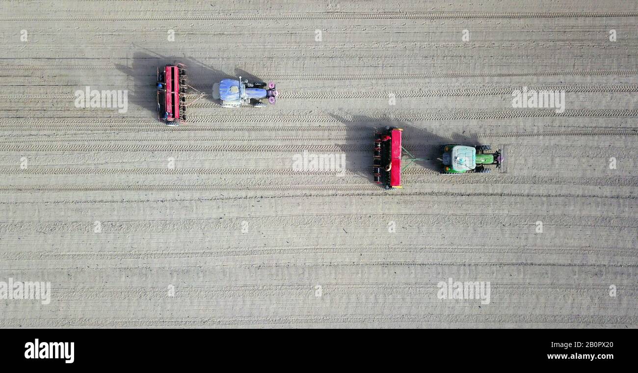 Chinese farmers plough and seed a wheat field in Sihaoqu Village, Yanqi ...