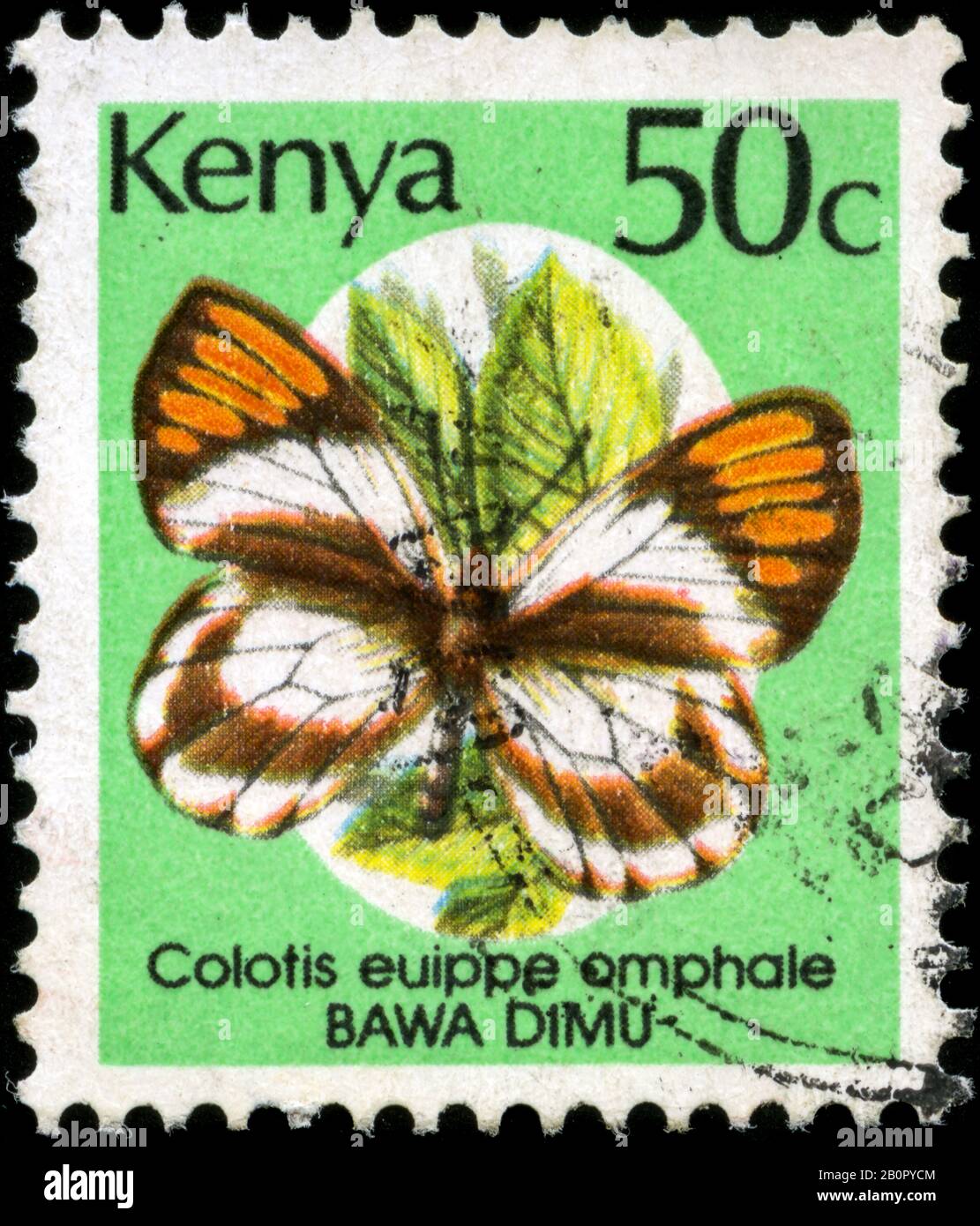 Colotis hi-res stock photography and images - Alamy