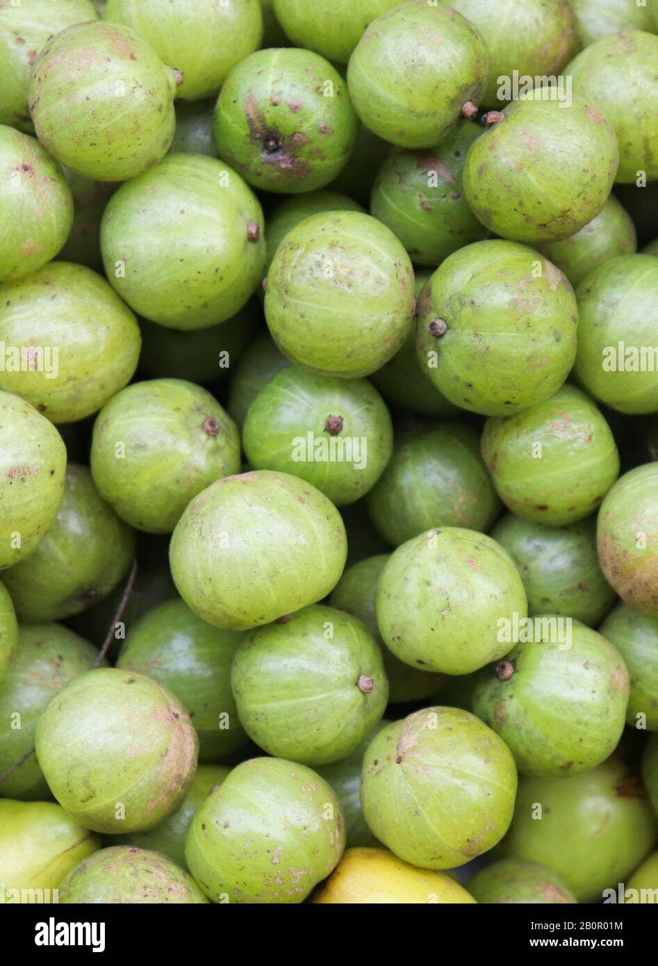 Amla Background. Green Indian Gooseberry Amla Background Stock Photo ...