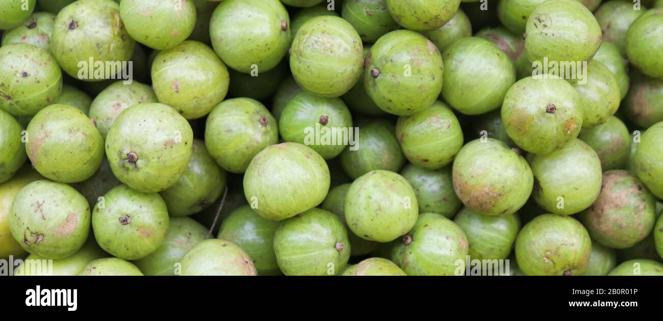 Amla Background. Green Indian Gooseberry Amla Background Stock Photo ...