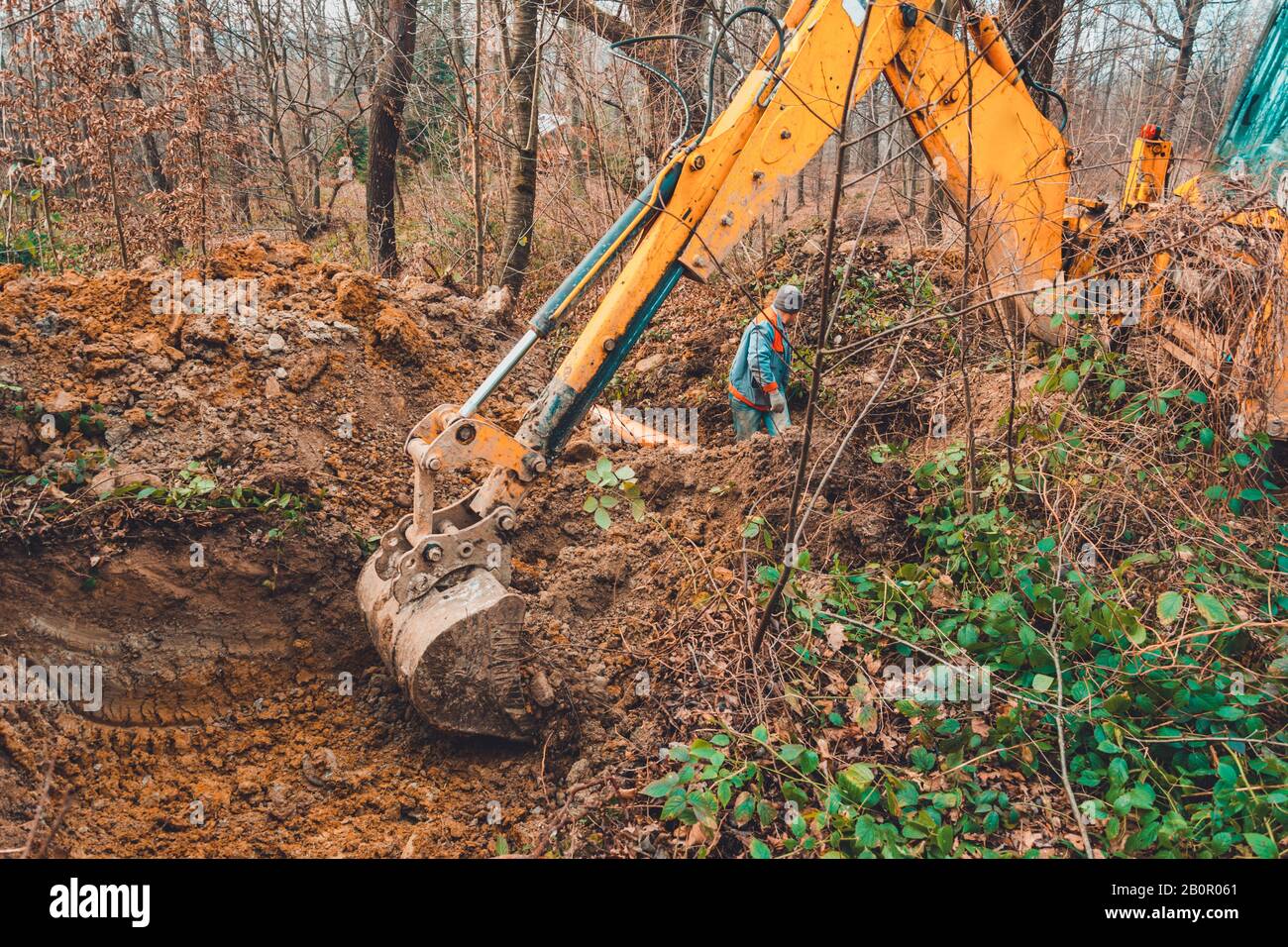 An excavator in the forest digs a ladle for fish breeding Stock Photo ...