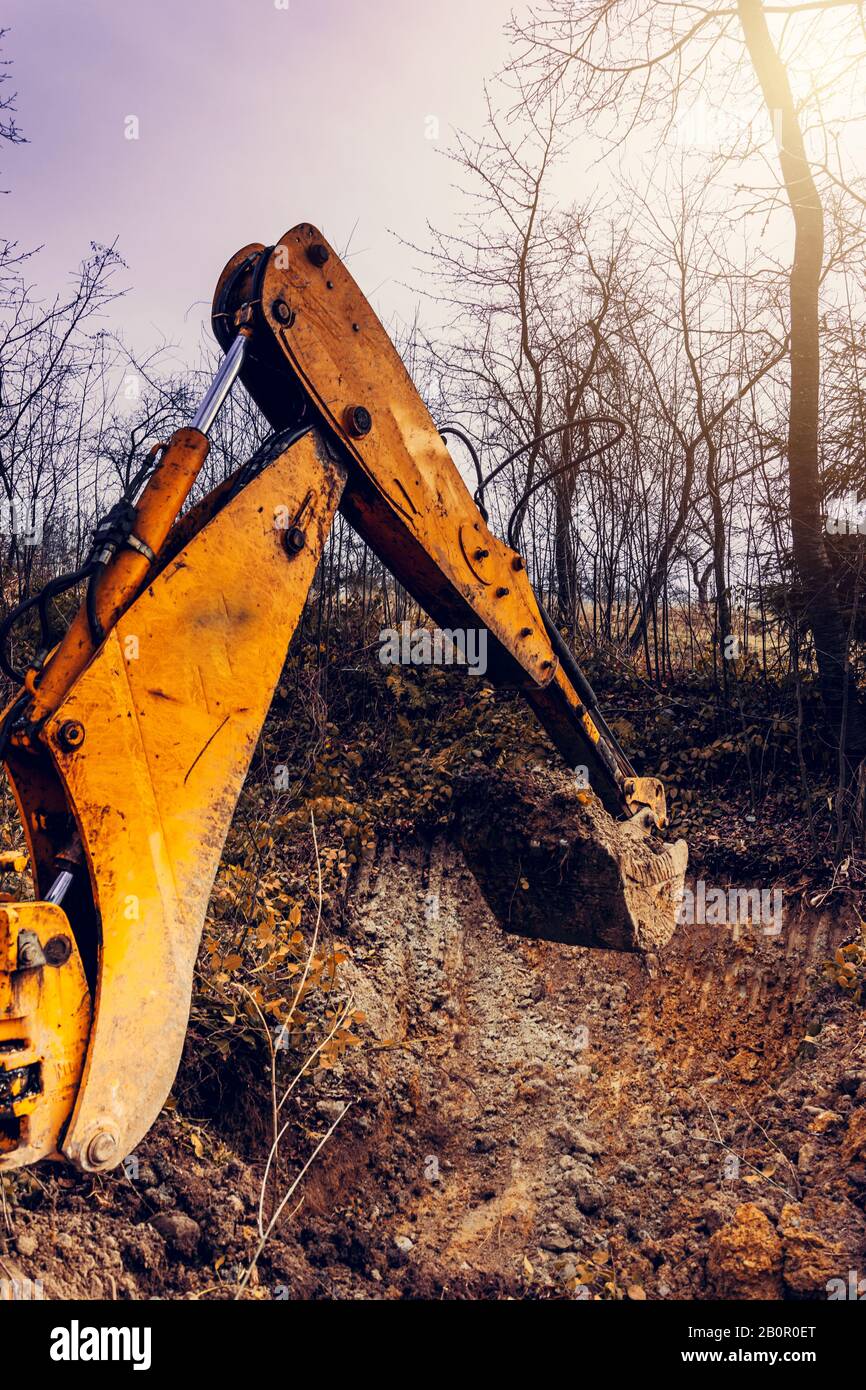 A yellow excavator works on the forest clearing and digs soil Stock ...