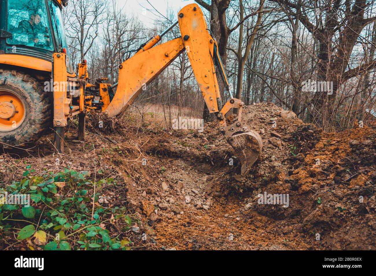 A yellow excavator works on the forest clearing and digs soil Stock ...
