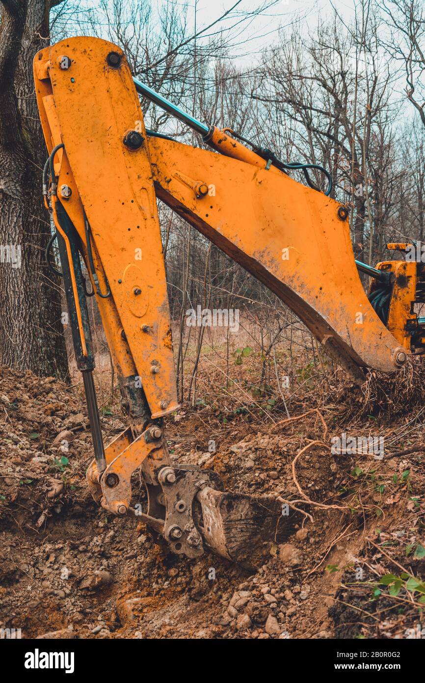 A yellow excavator works on the forest clearing and digs soil Stock ...