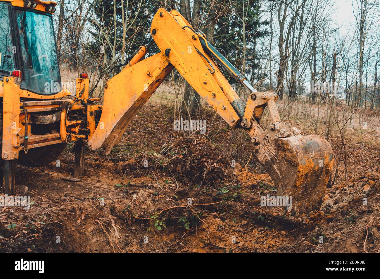 The excavator digs soil into the forest and uproots the roots of the ...