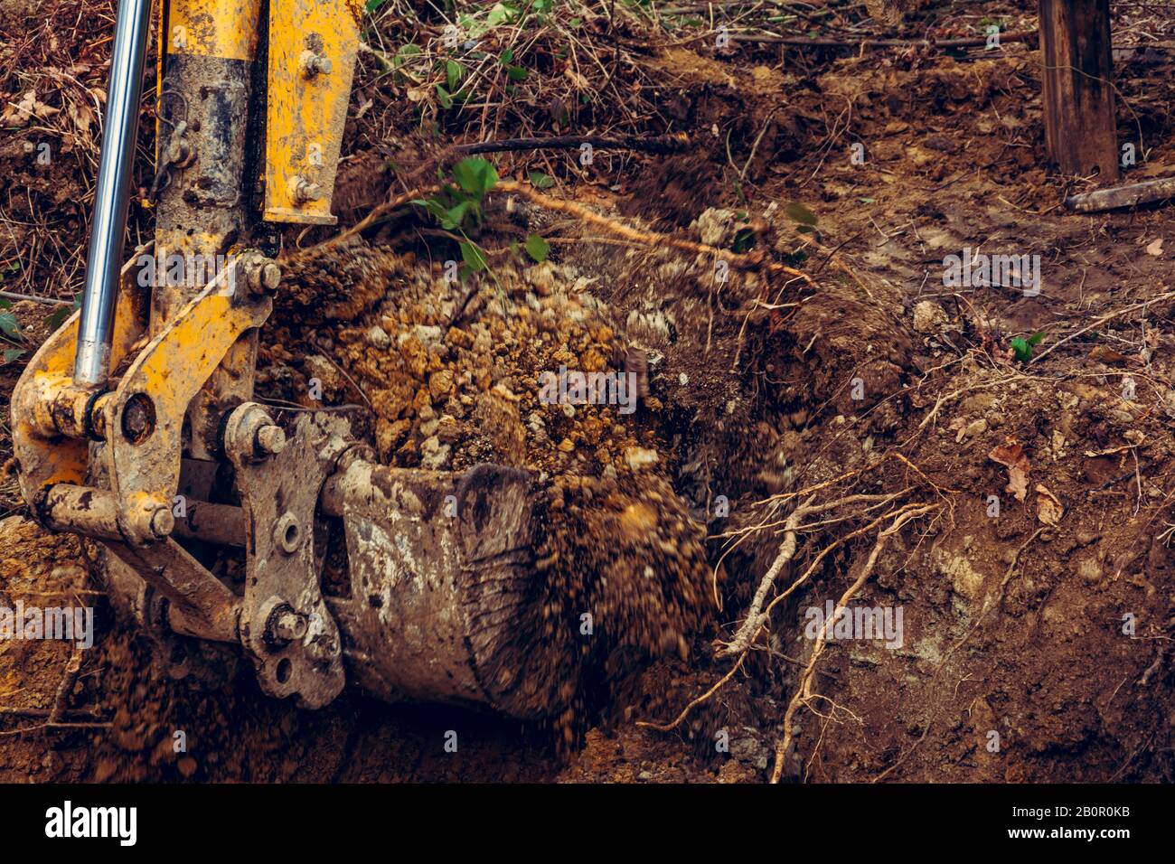 The excavator digs soil into the forest and uproots the roots of the ...