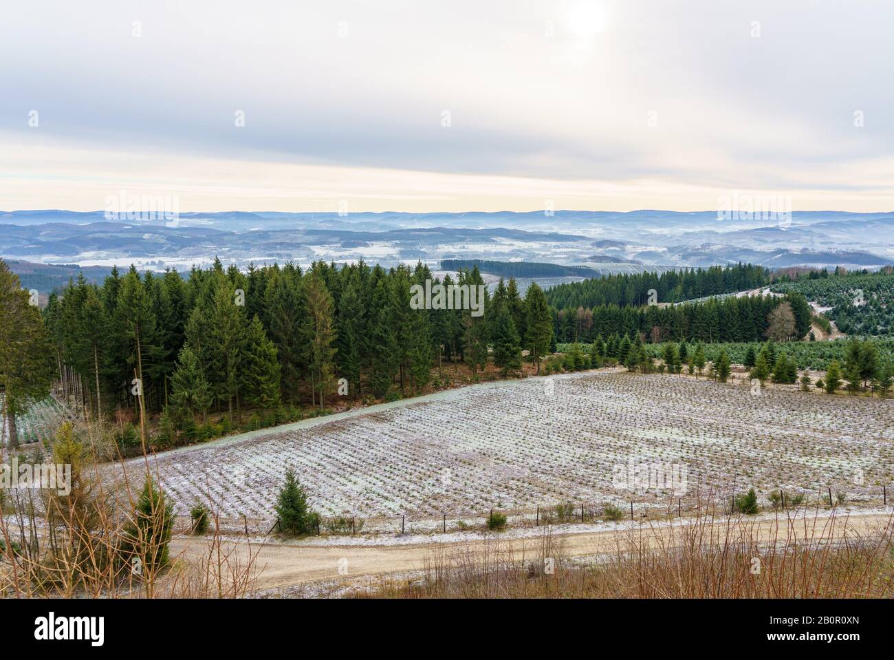 Very icy day hi-res stock photography and images - Alamy