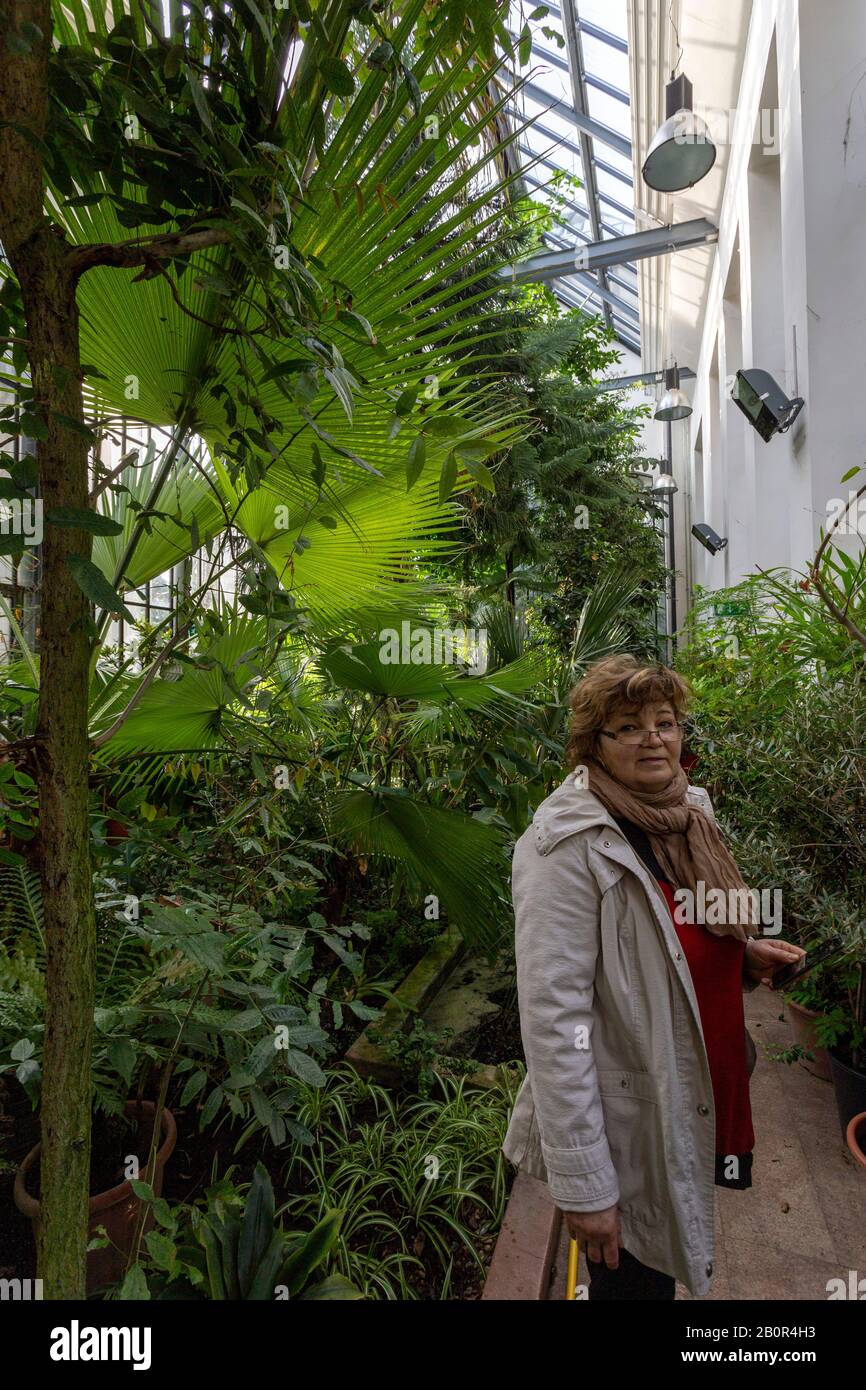 Budapest botanical gardens hi-res stock photography and images - Alamy