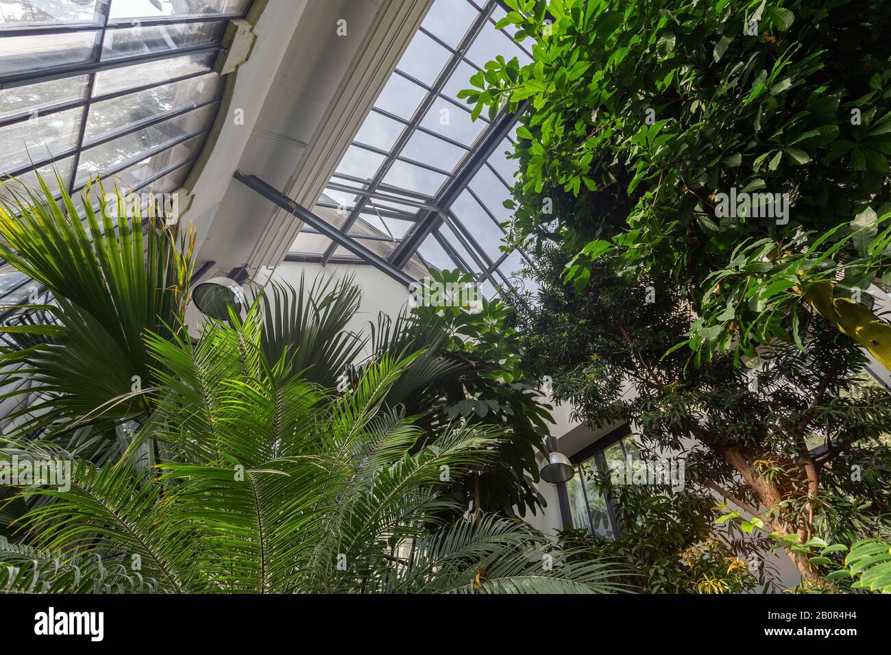Budapest botanical gardens hi-res stock photography and images - Alamy
