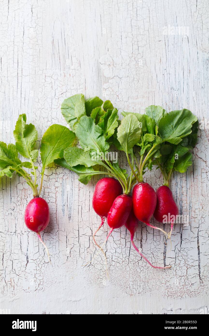 Pink stem radish hi-res stock photography and images - Alamy
