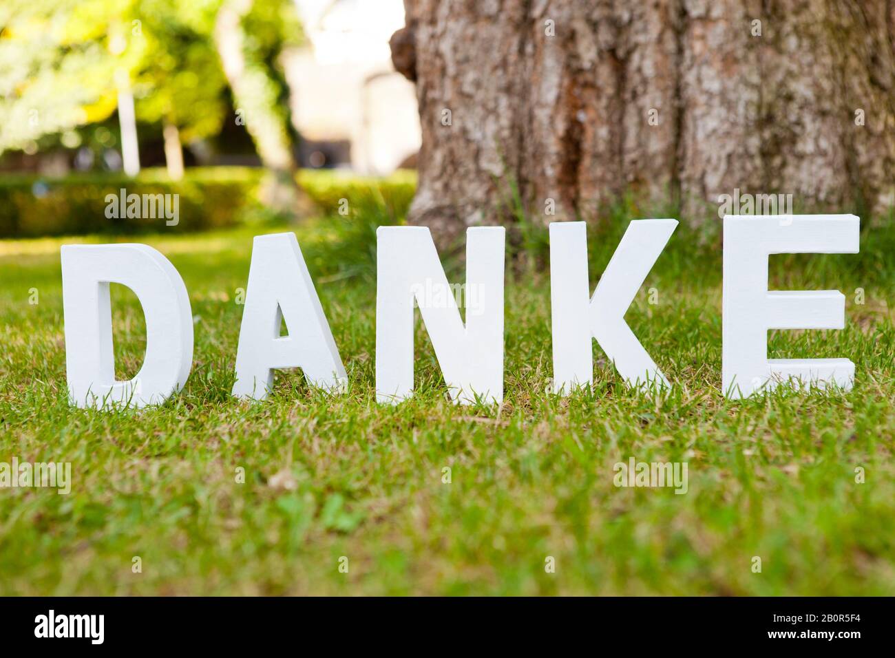 3D letters form the word Thank you Stock Photo - Alamy