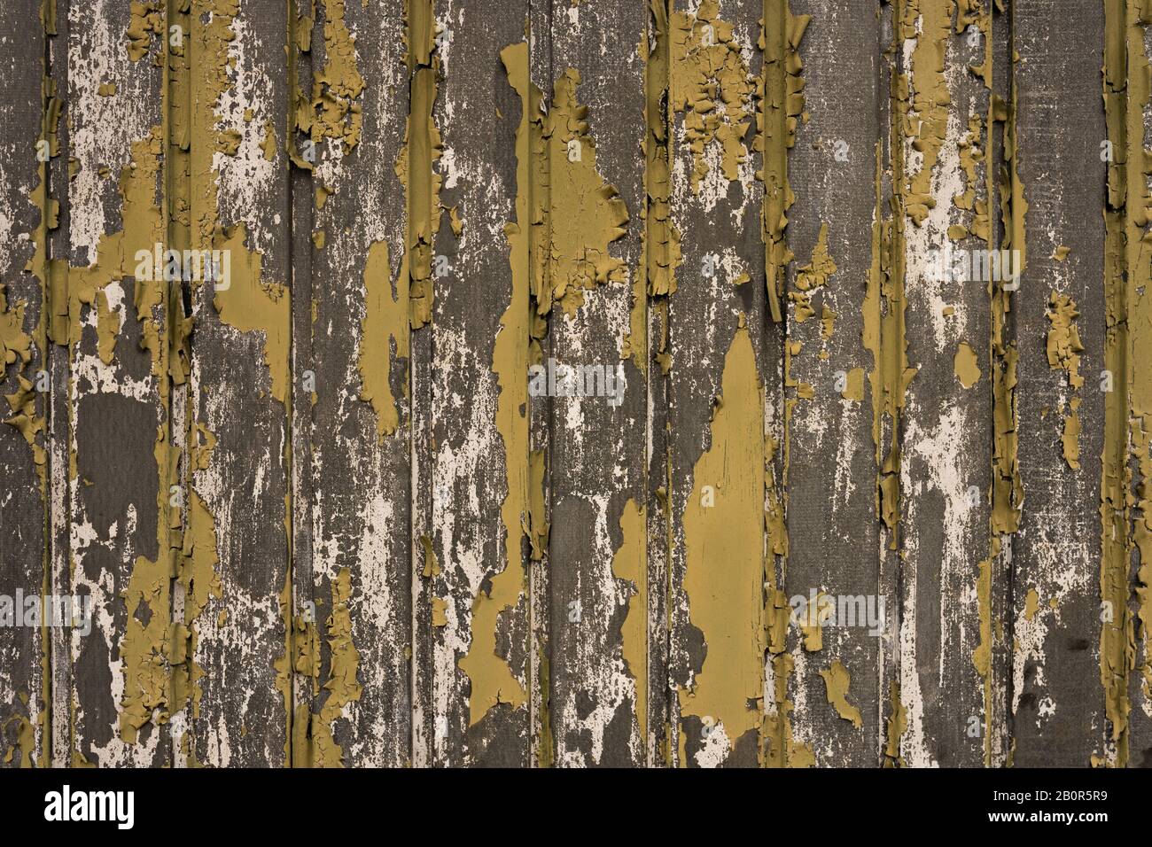 Losing texture hi-res stock photography and images - Alamy