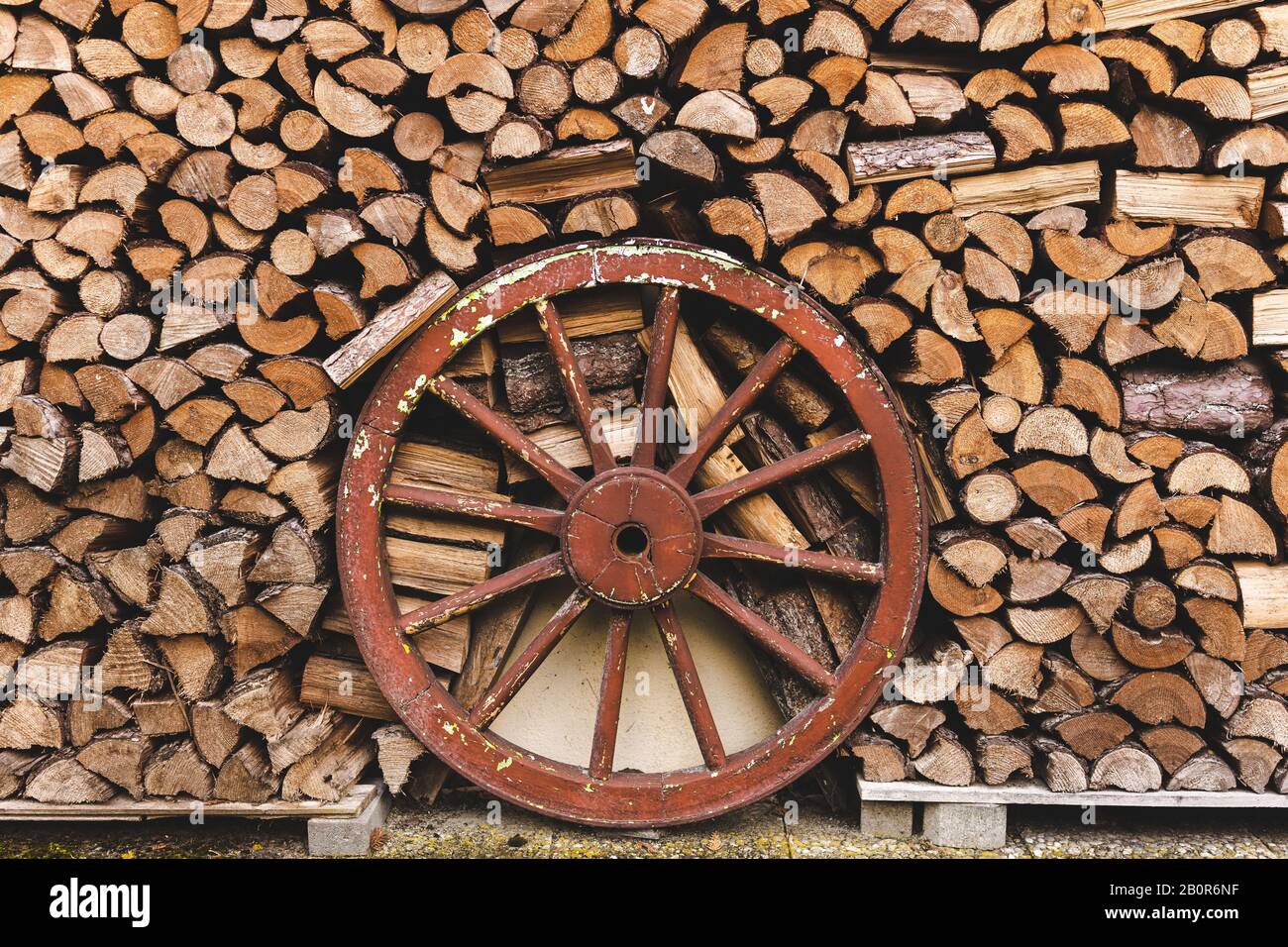 Wheel of fire tree hi-res stock photography and images - Alamy