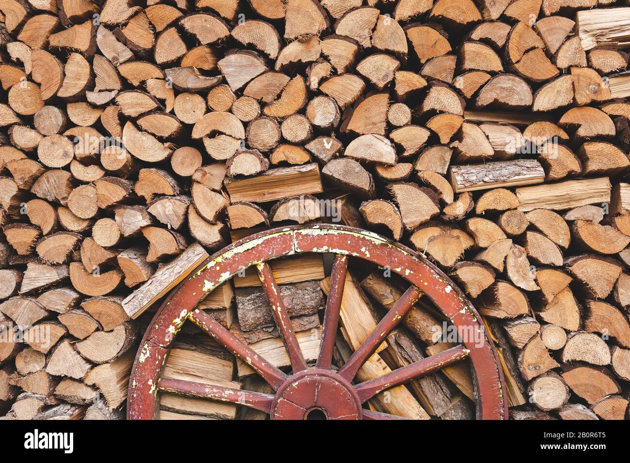 Wheel of fire tree hi-res stock photography and images - Alamy