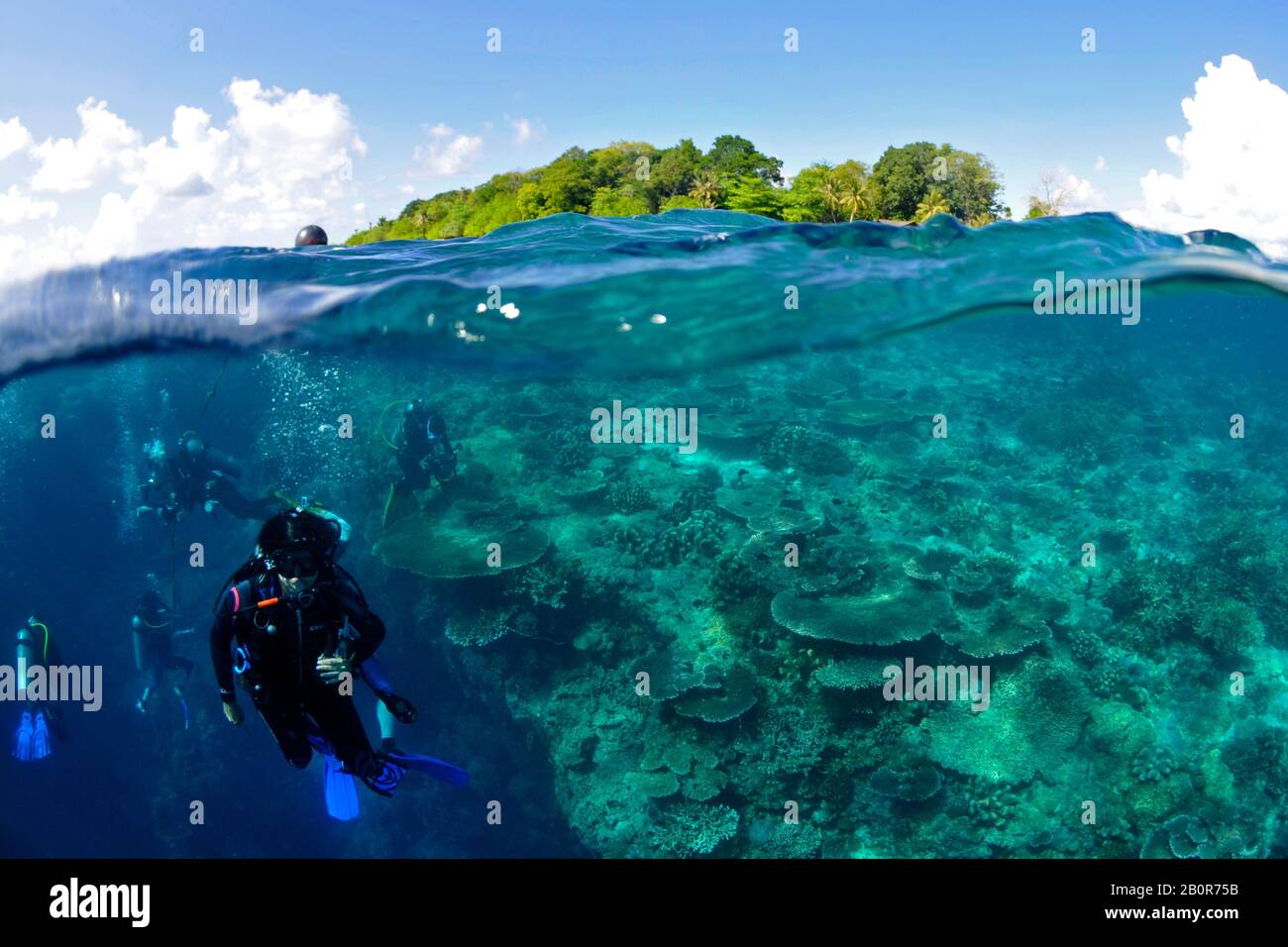 Scuba divers on a coral reef off Sipadan Island, Malaysia Stock Photo ...