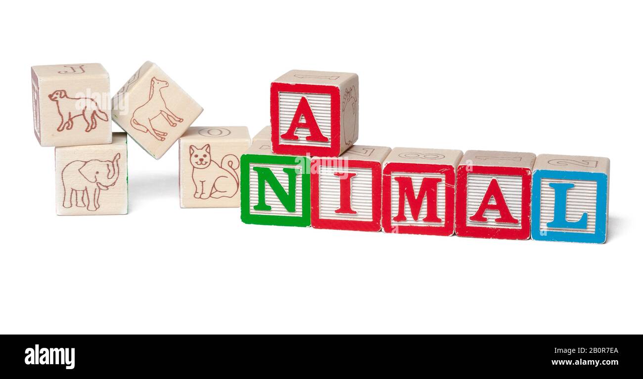 Colorful alphabet blocks. Word animal isolated on white background ...