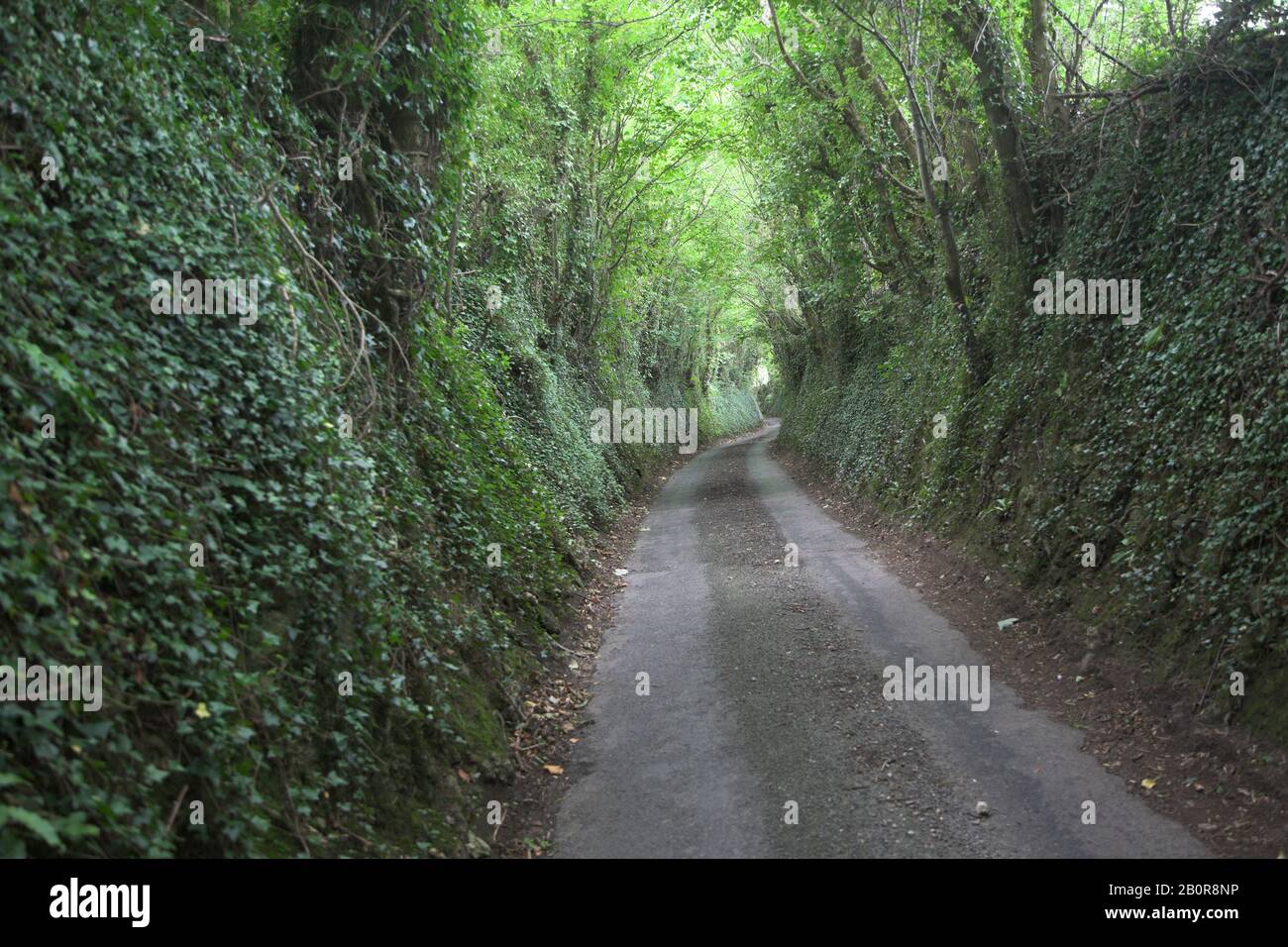 Old sunken lane hi-res stock photography and images - Alamy