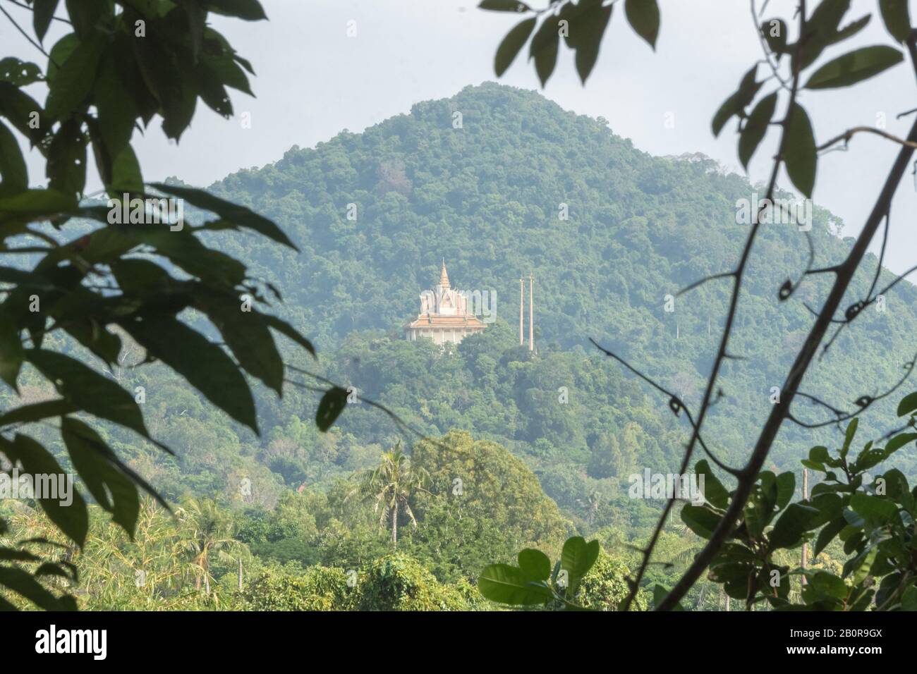 Buddhist temple on a hillside in the middle of a forest Stock Photo - Alamy