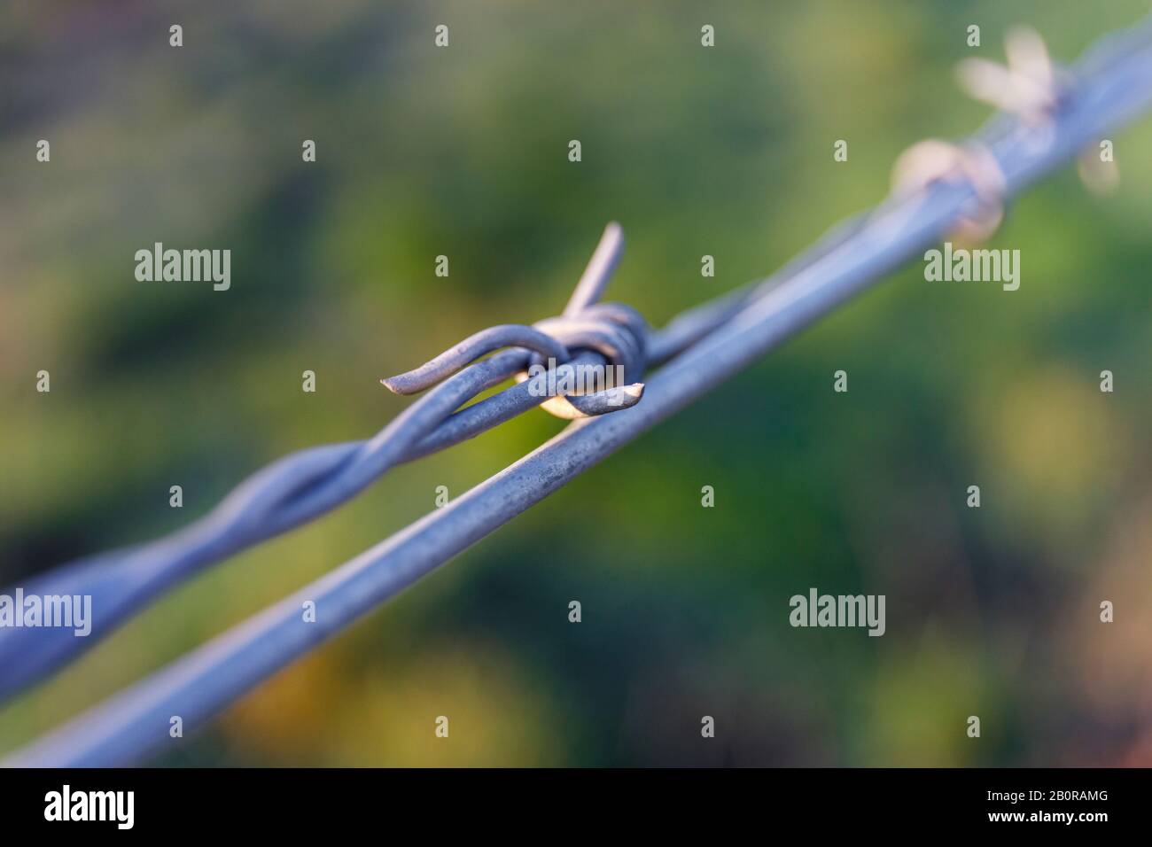 field wire fence Stock Photo - Alamy
