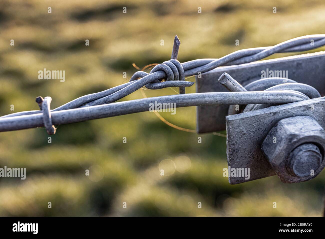 field wire fence Stock Photo - Alamy