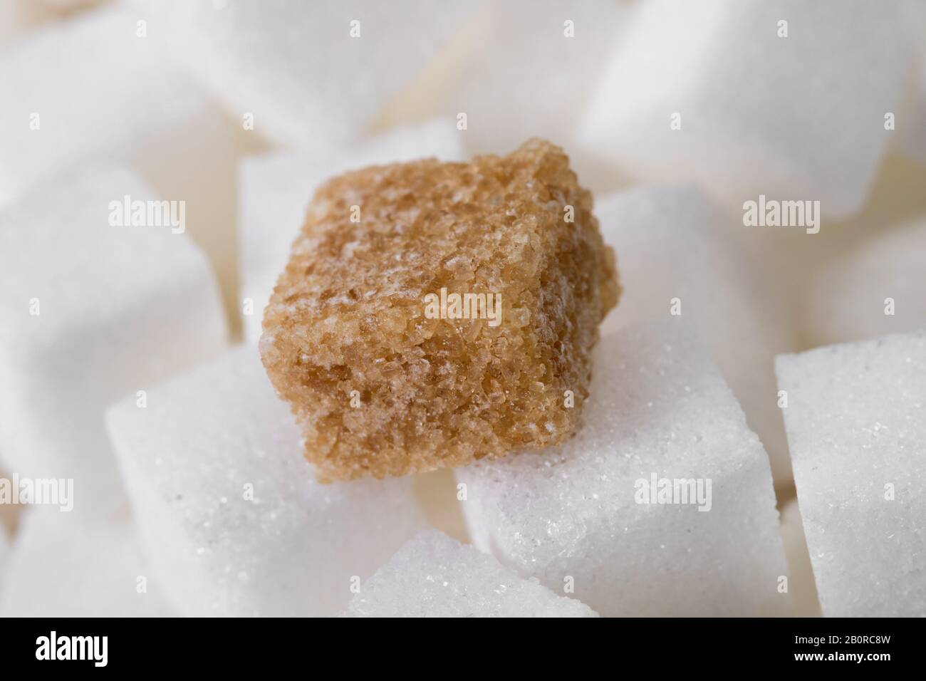 Close up macro studio shot of a brown sugar lump on white sugar cubes ...