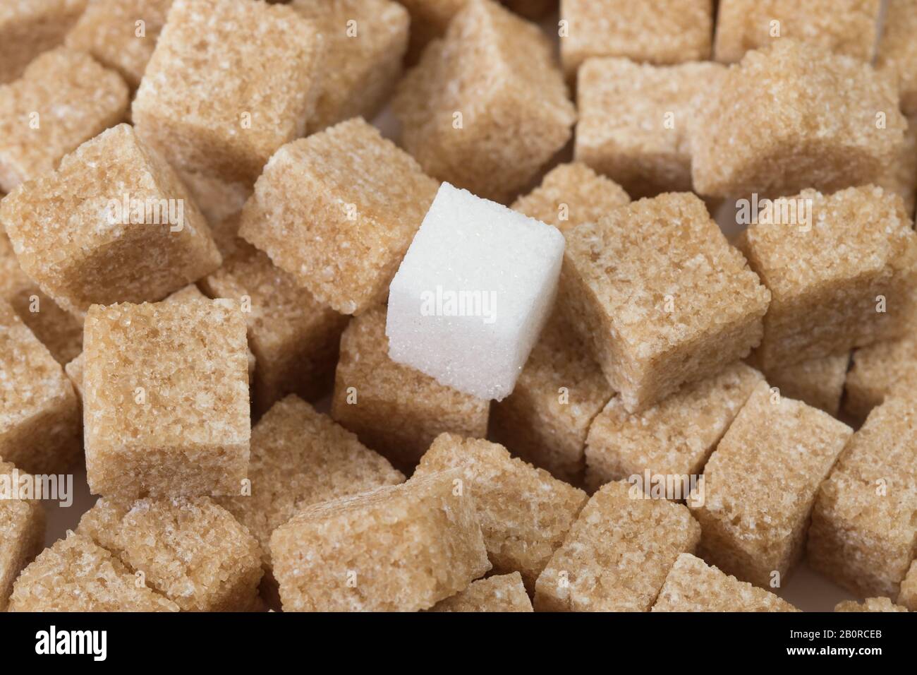 Close up macro studio shot of a white sugar lump on brown sugar cubes ...
