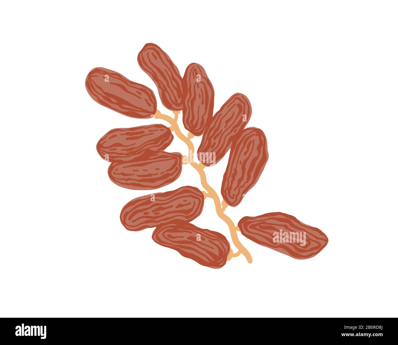 Arabian dates Stock Vector Images - Alamy