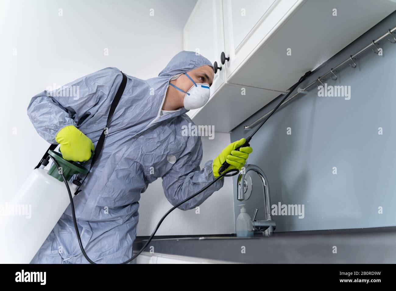 Insect and rodent control hi-res stock photography and images - Alamy