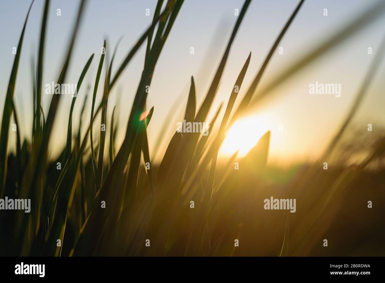 Calm insight hi-res stock photography and images - Alamy