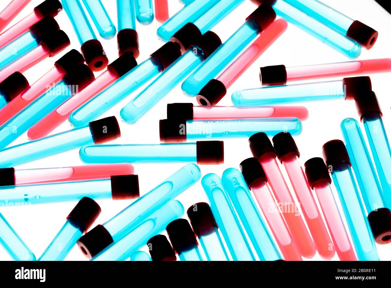 medicine test tubes for microbiological collection Flat lay, top view ...