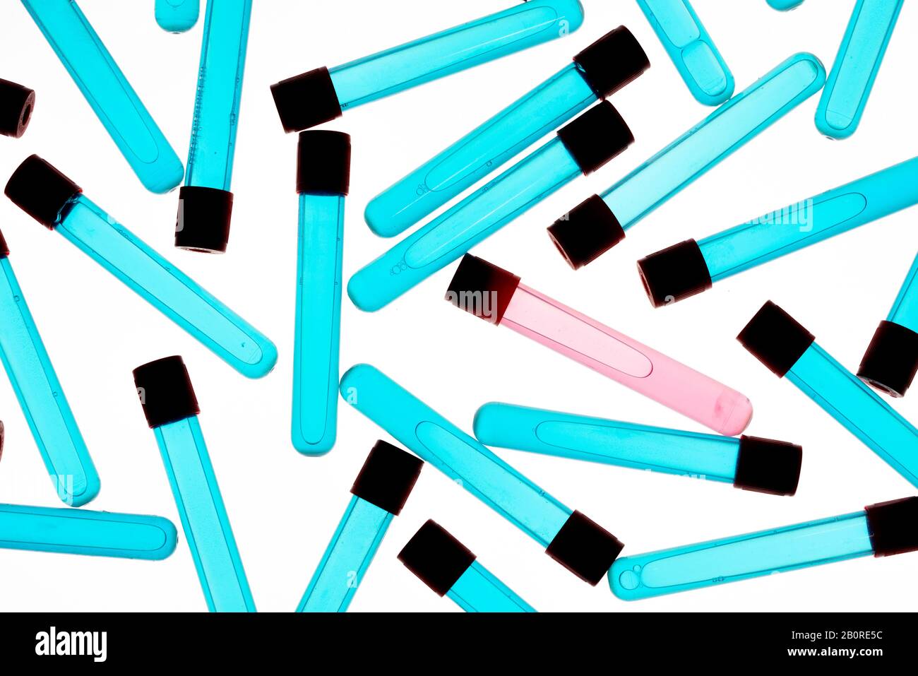 medicine test tubes for microbiological collection Flat lay, top view ...