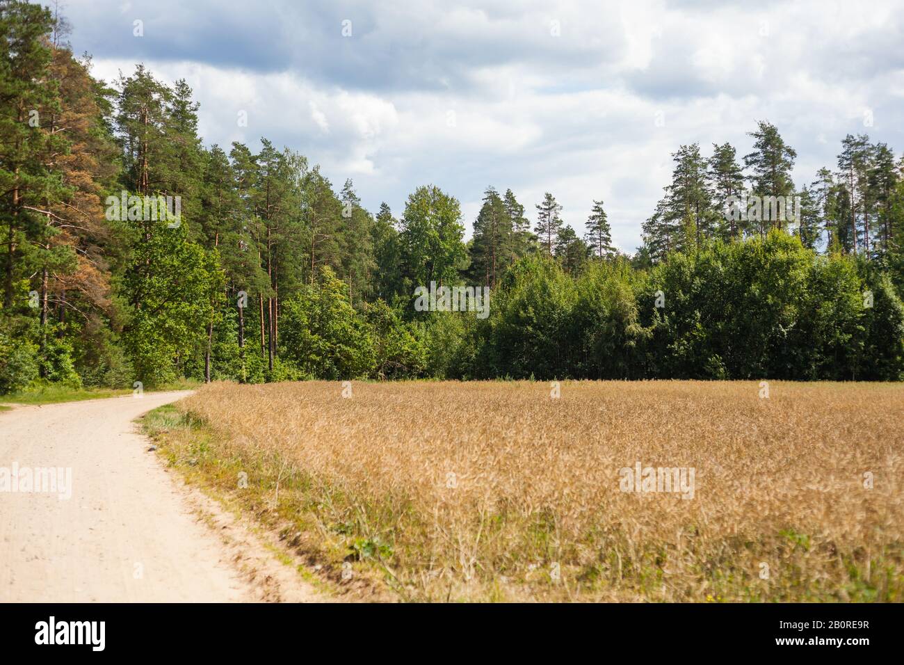 road in the countryside in summer Stock Photo - Alamy